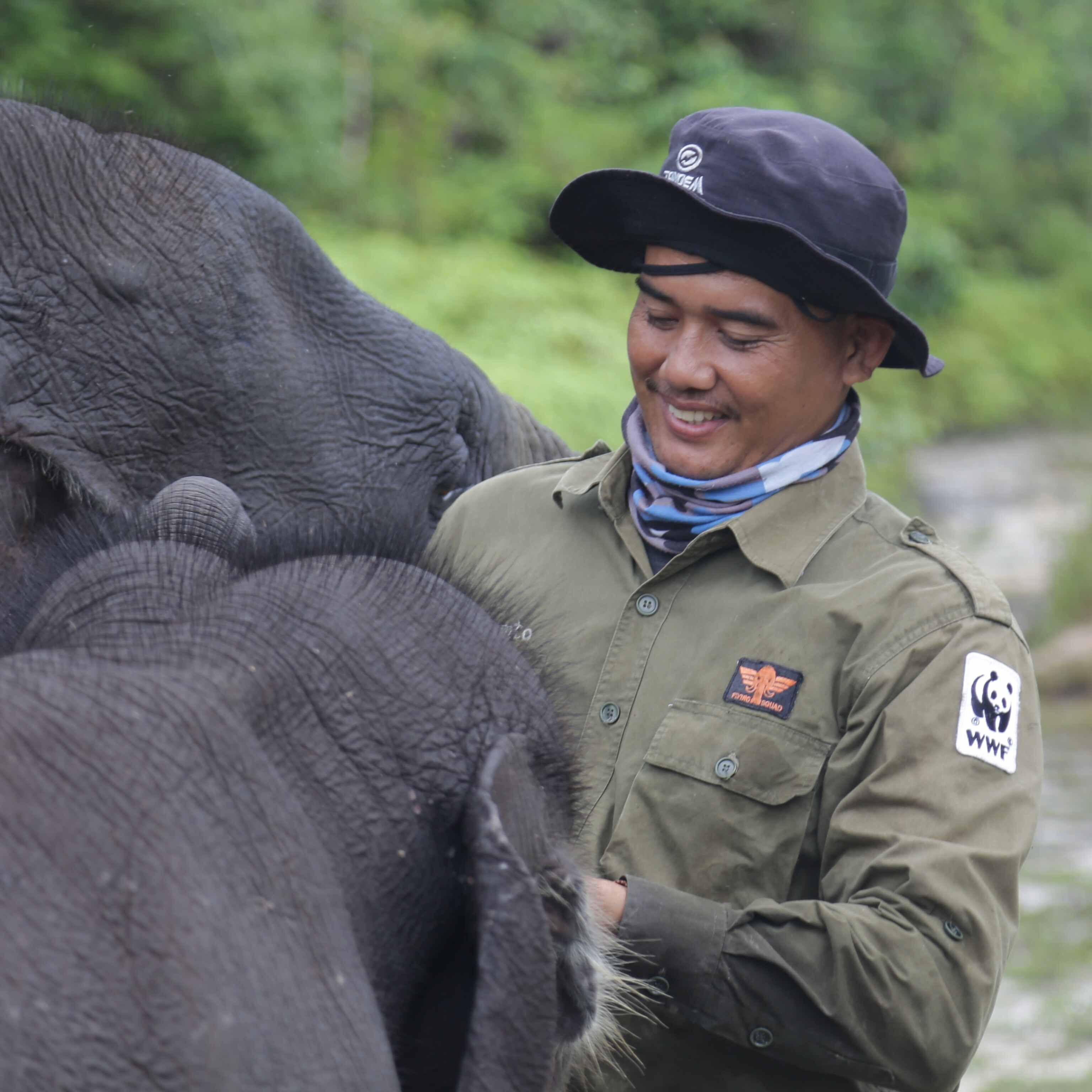 Kehidupan di WWF | Global Environmental Conservation Organization - WWF Indonesia